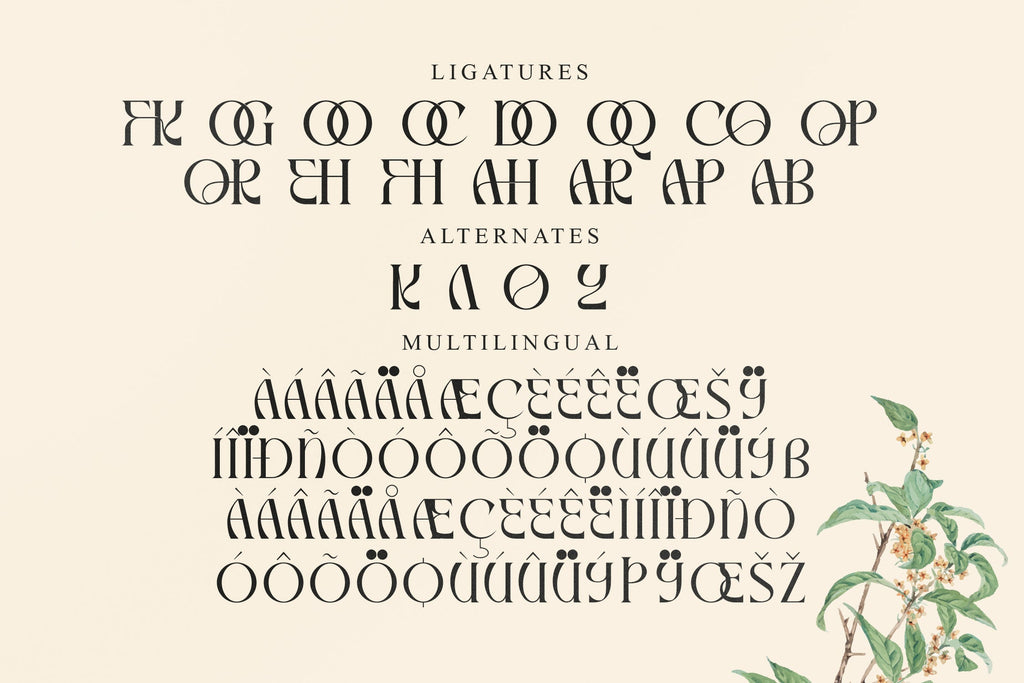 Mallory Typeface - So Fontsy