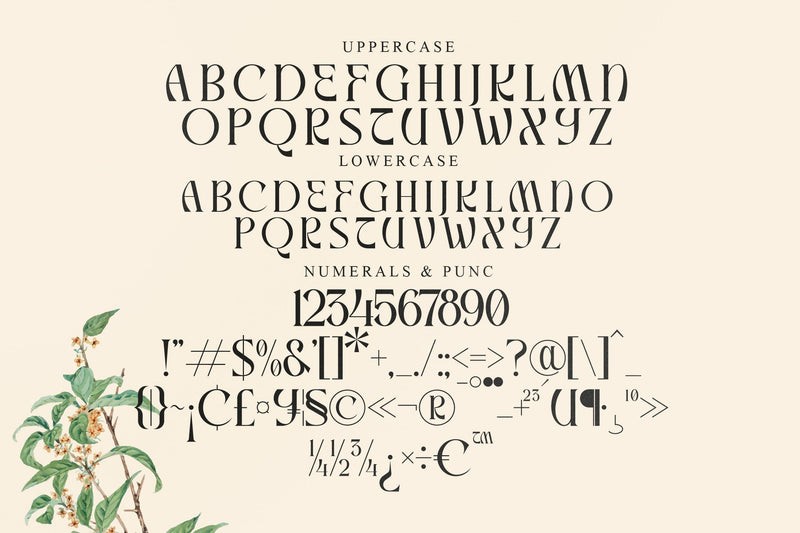 Mallory Typeface - So Fontsy