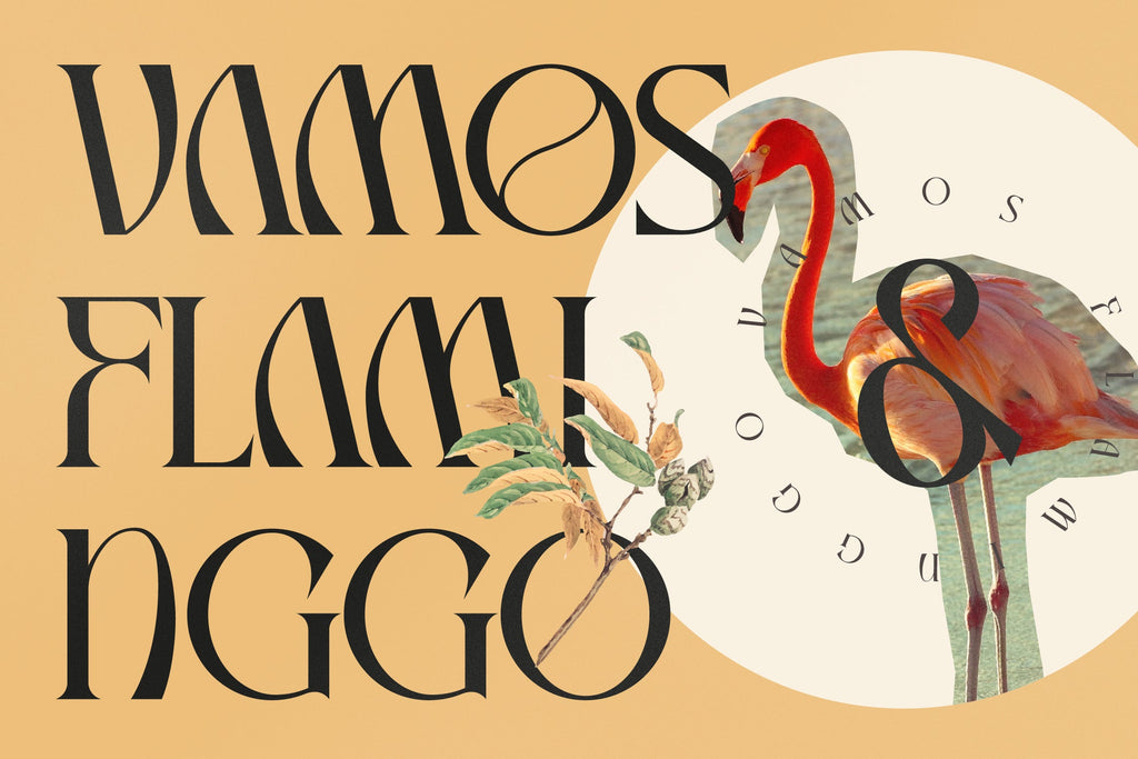 Mallory Typeface - So Fontsy