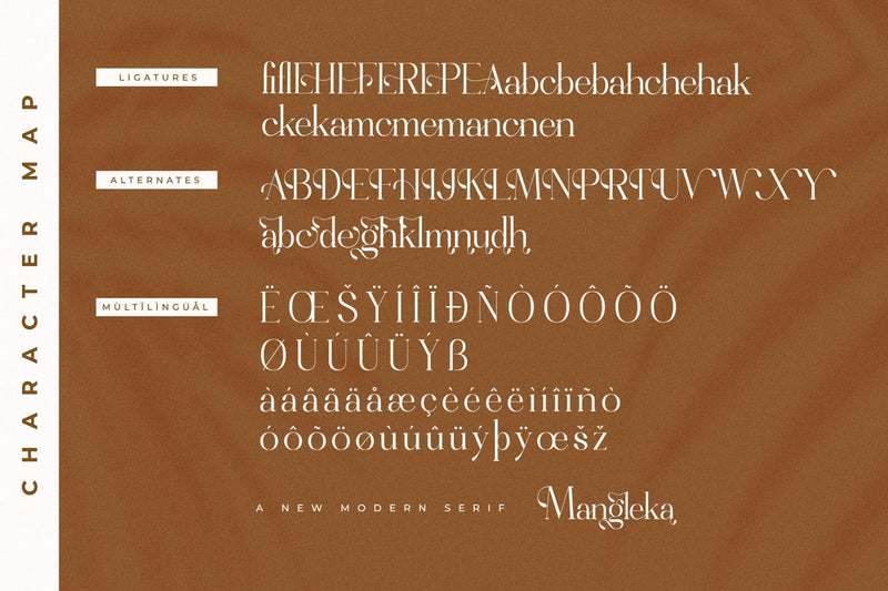 Mangleka Typeface - So Fontsy