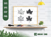 Maple Leaf SVG Bundle, Leaf Silhouette, Fall Leaves Svg, Autumn Leaves ...