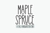 Maple Spruce - Tall Farmhouse Font - So Fontsy