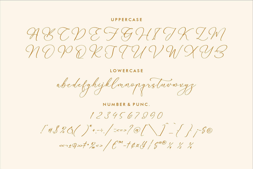 Martigale - Modern Calligraphy Font - So Fontsy