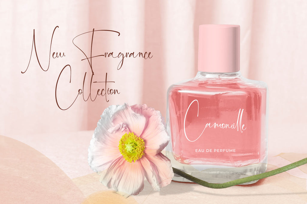 Martin Zidan - Signature Script Font - So Fontsy