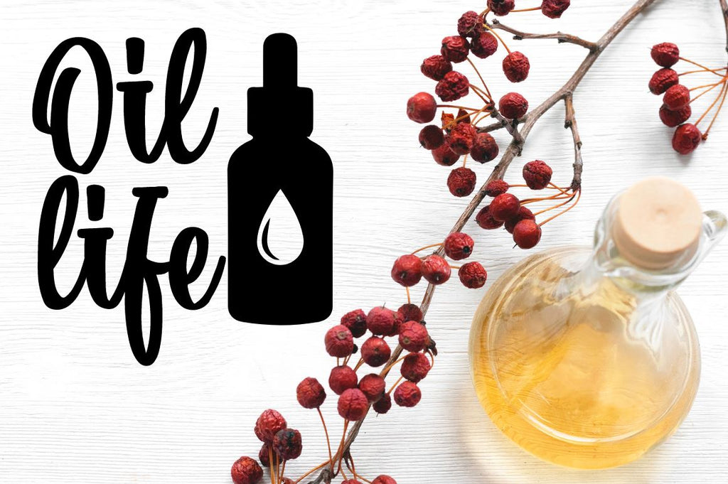 MBS-647 Essential Oil SVG Bundle - So Fontsy