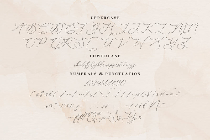 Medusa Luxury Script - So Fontsy