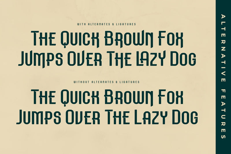 Meholrax Typeface - So Fontsy