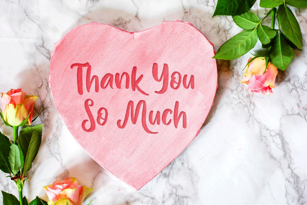 Melanie Roselyn Beautiful Script Font - So Fontsy