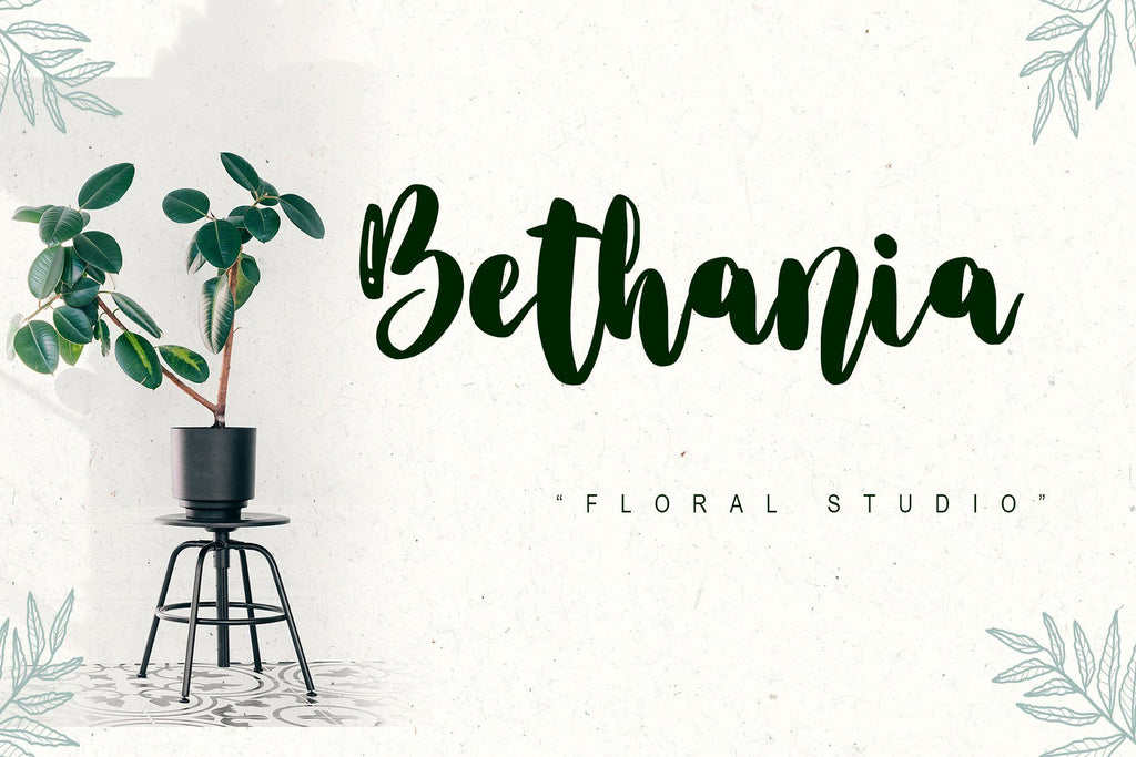 Merijola - So Fontsy