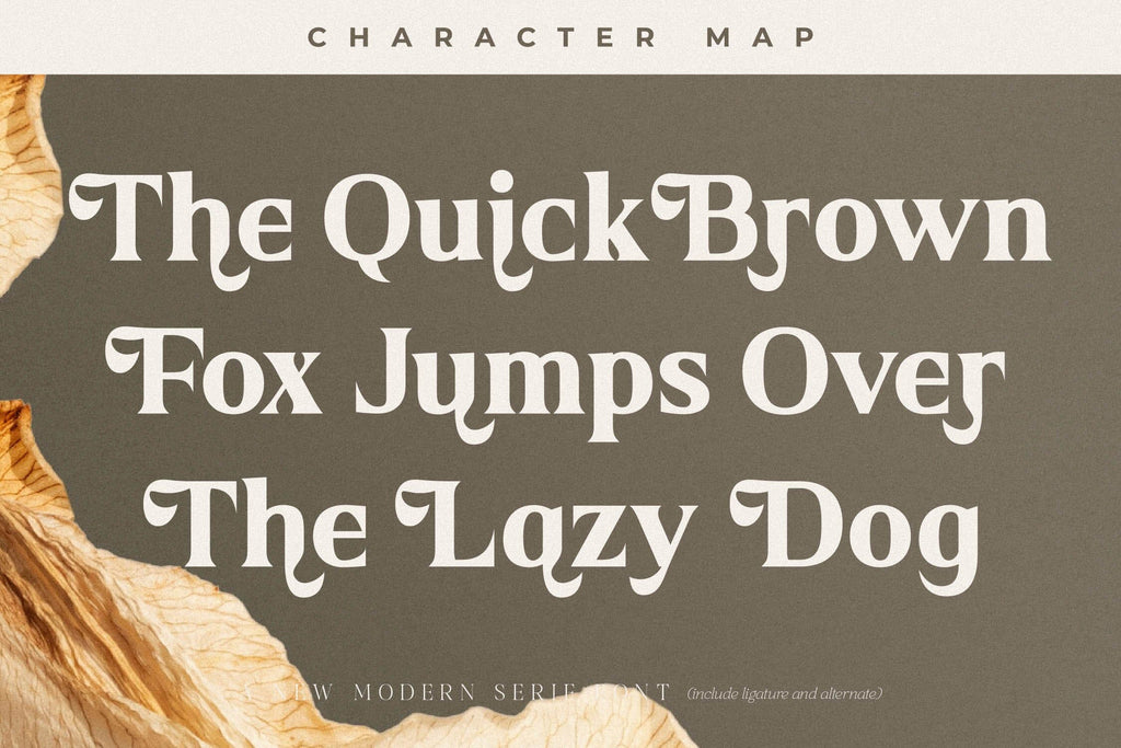 Merika Typeface - So Fontsy