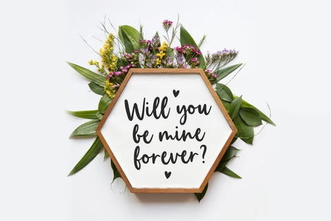 Minescript - So Fontsy