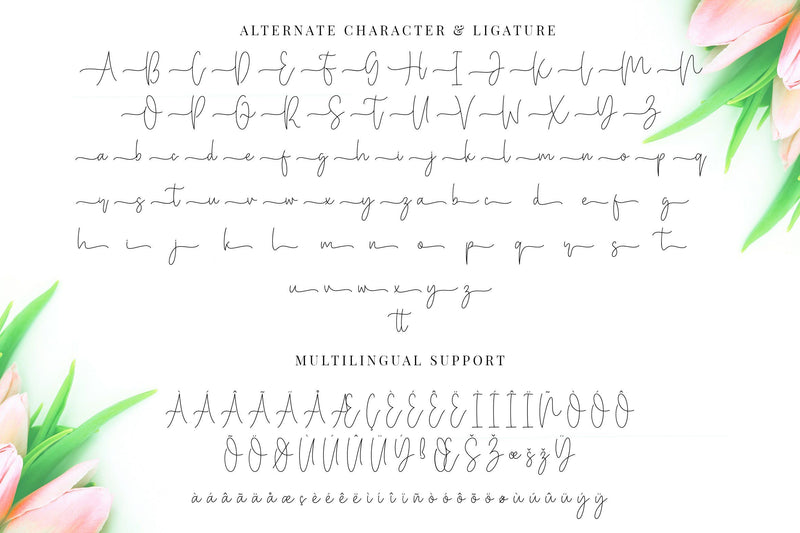 Miya Wayne - Modern Lovely Script Font - So Fontsy