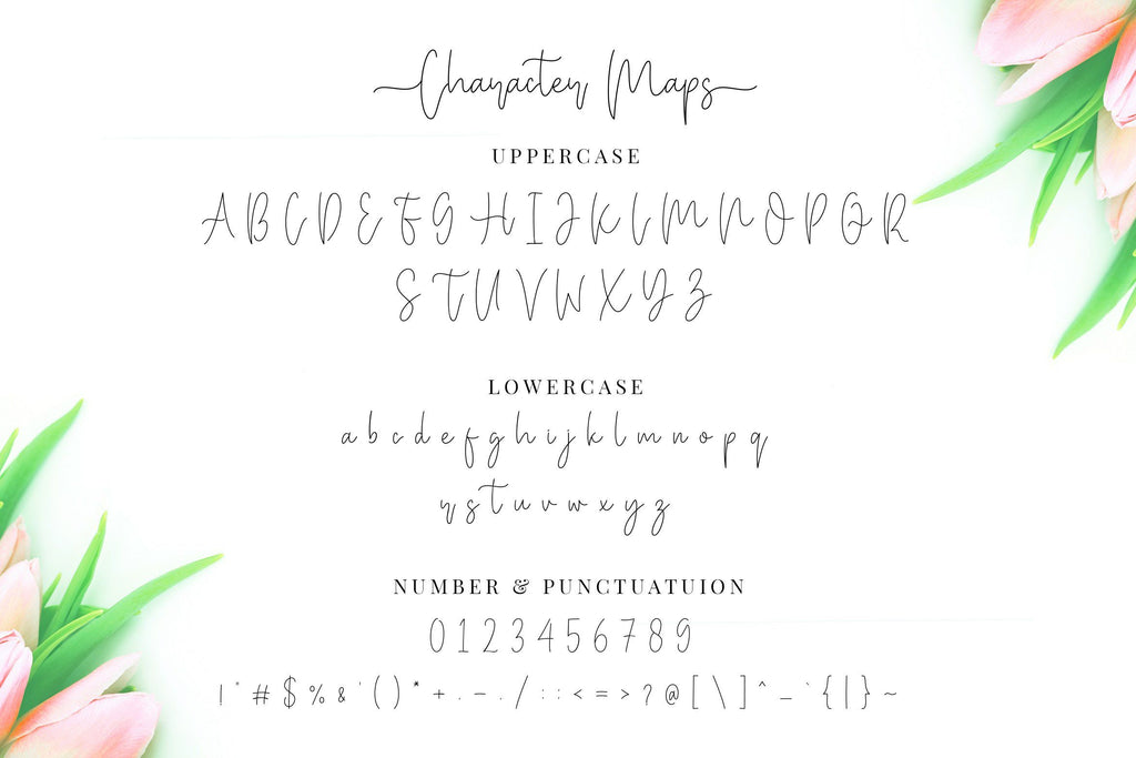 Miya Wayne - Modern Lovely Script Font - So Fontsy