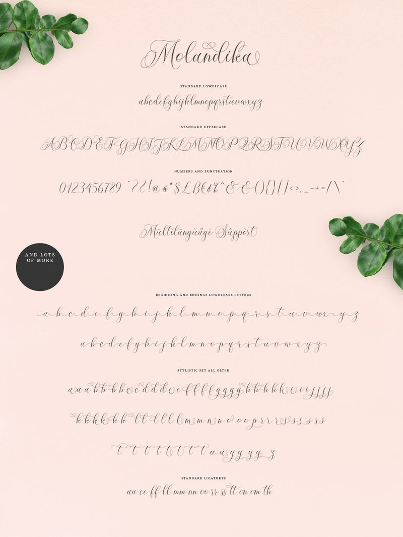 Molandika Script - So Fontsy