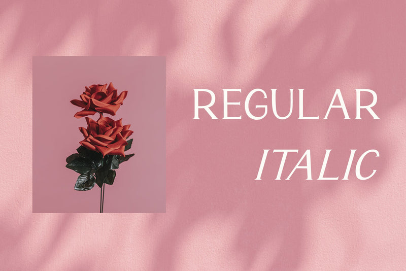 Monaline - Modern Serif Font - So Fontsy