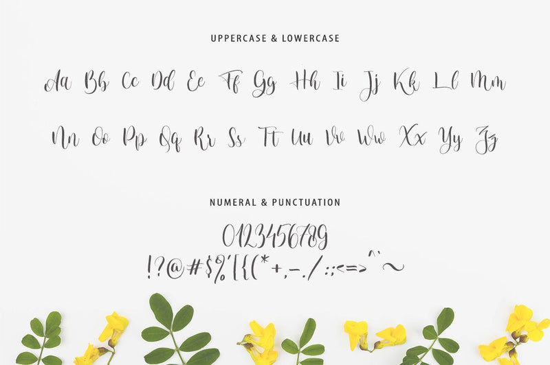 monica script - So Fontsy
