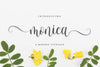 monica script - So Fontsy