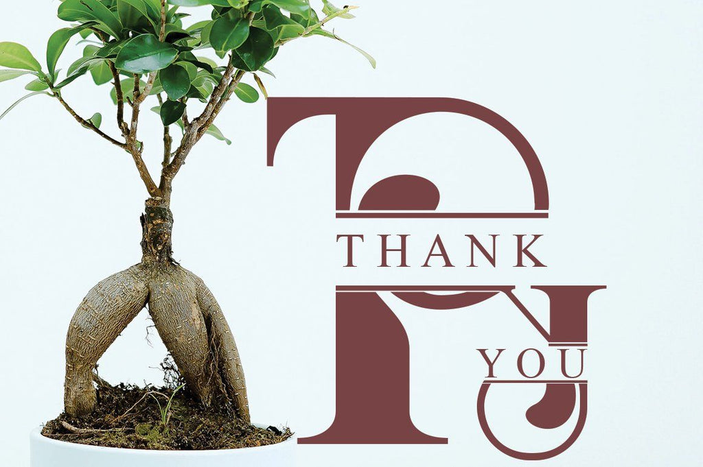 MONOGRAM - So Fontsy