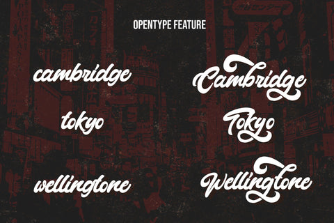 Montages - Retro Bold Script Font - So Fontsy