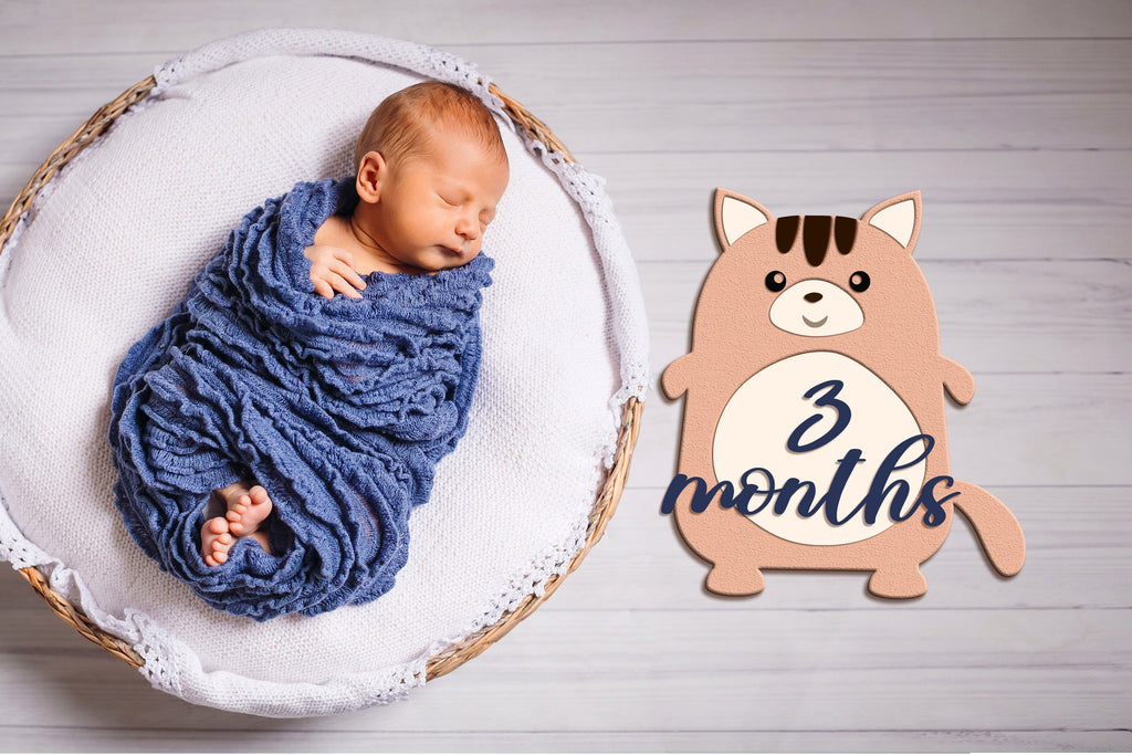 Monthly Milestone Bundle for Cute Baby Photos - So Fontsy