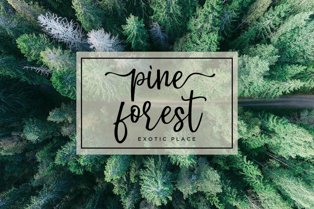 Mottion // Fashionable and Modern Calligraphy - So Fontsy