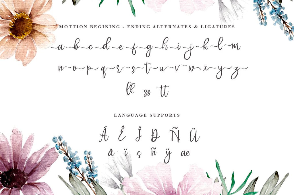 Mottion // Fashionable and Modern Calligraphy - So Fontsy