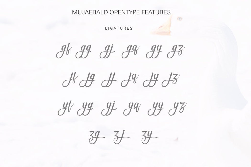 Mujaerald font - So Fontsy