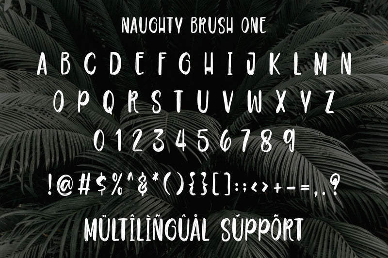 Naughty – Script brush - So Fontsy