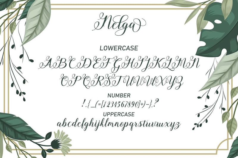 Nelga Script - So Fontsy