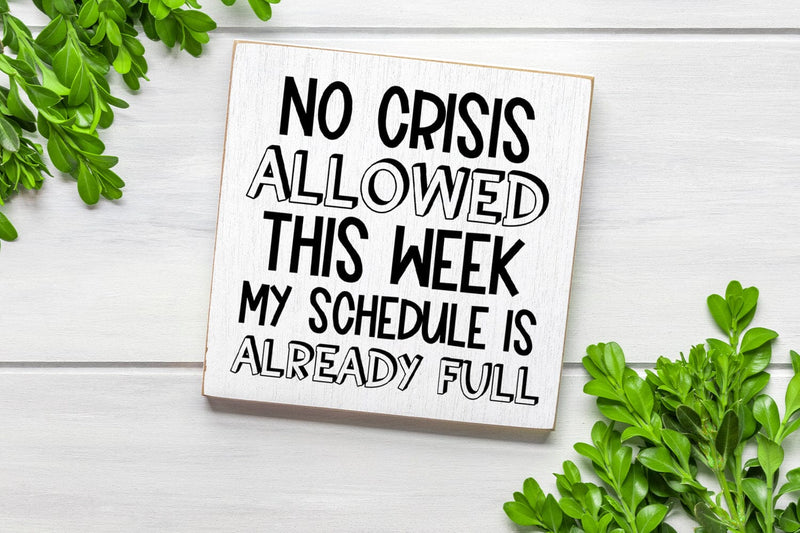 No Crisis Allowed I Funny Office Decor SVG I Office Sign SVG - So Fontsy