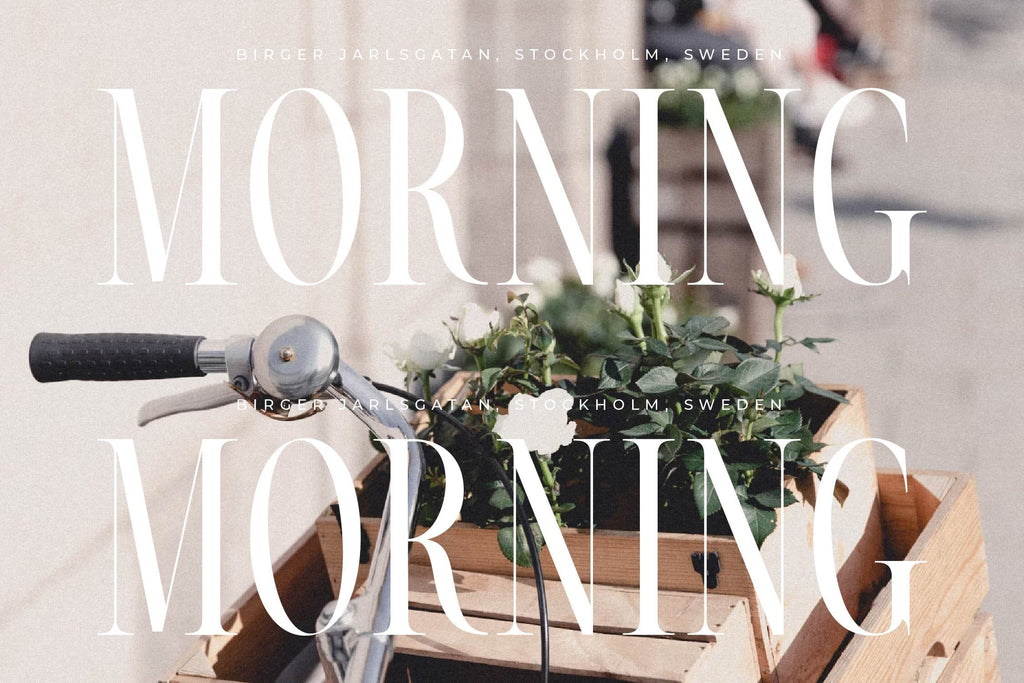 Nortine Typeface - So Fontsy