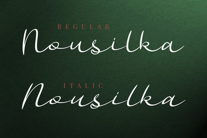 Nousilka | Modern Bouncy Script Font - So Fontsy