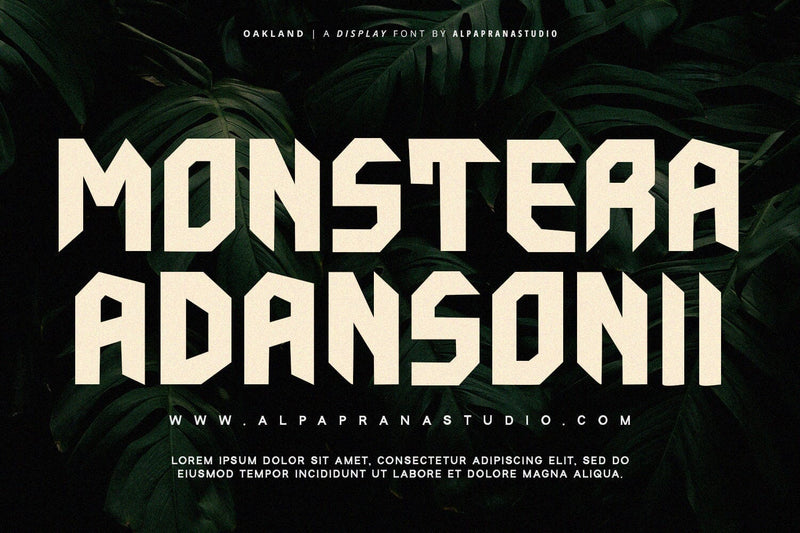 Oakland - Display Font - So Fontsy