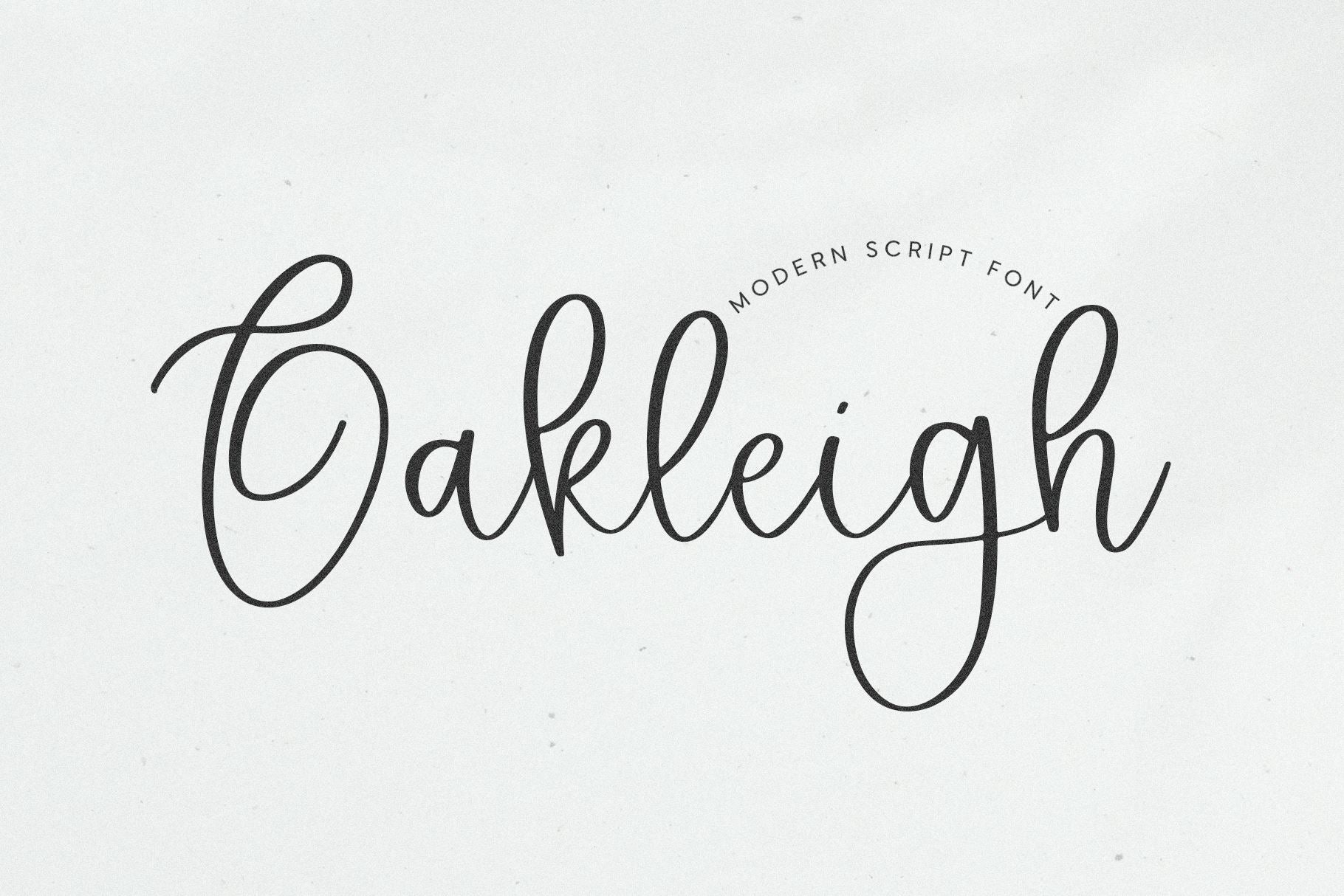 Oakleigh - Modern Script Font - So Fontsy