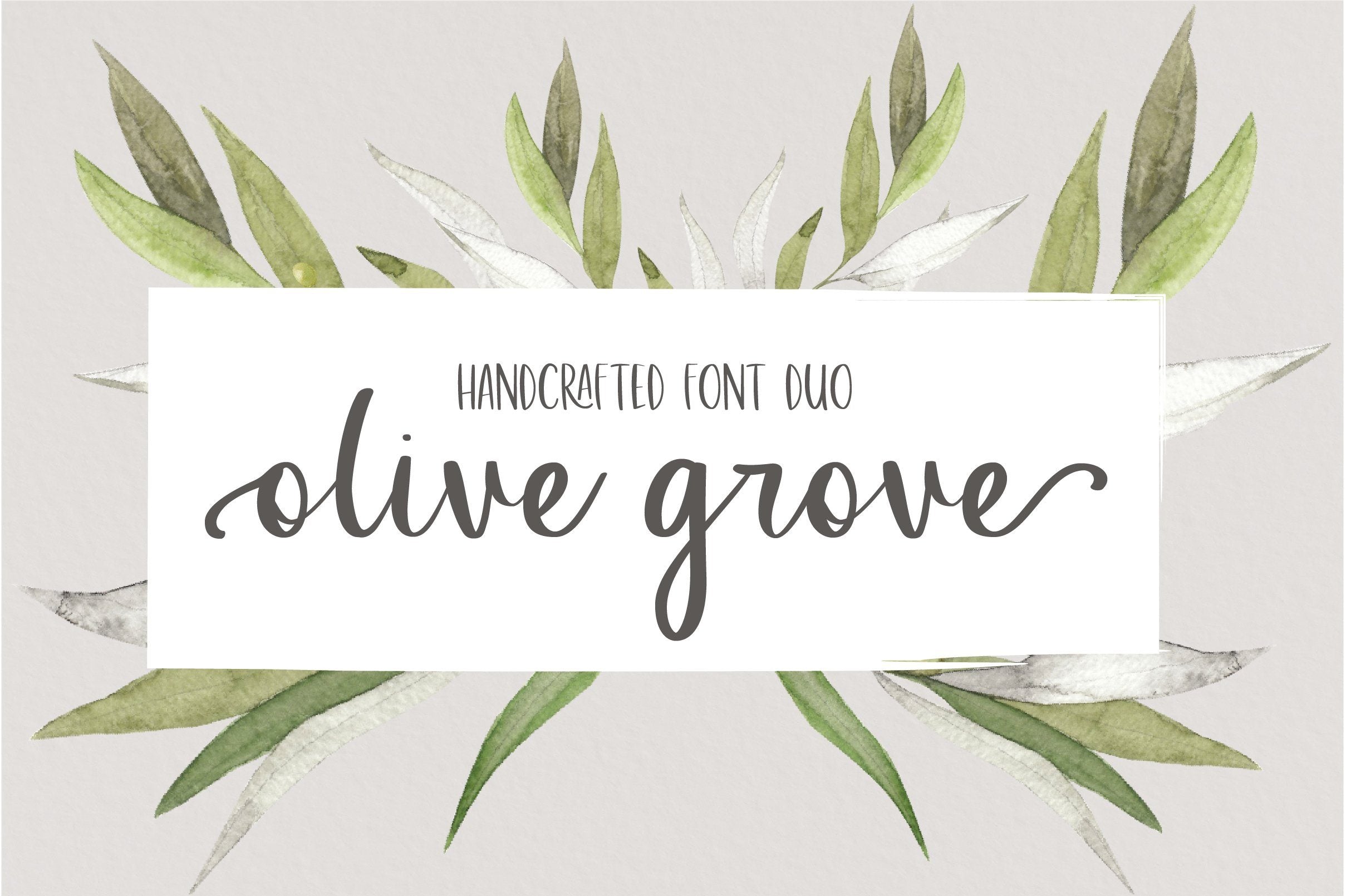 Olive Grove - So Fontsy