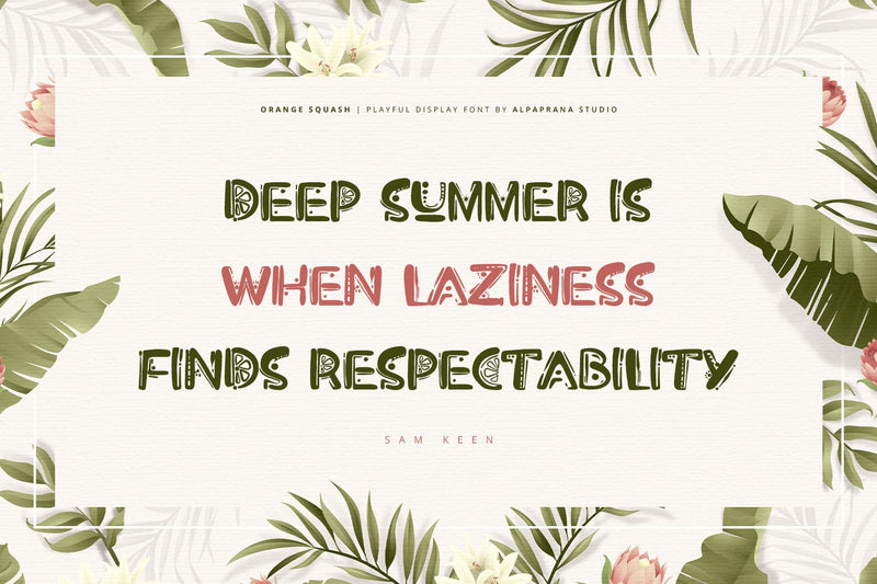 Orange Squash - Playful Display Font - So Fontsy