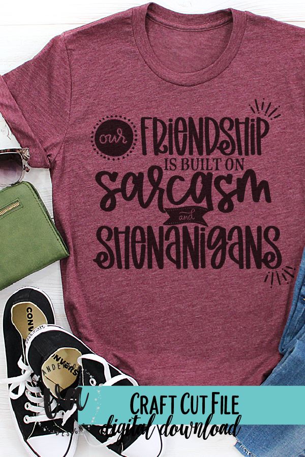 Our Friendship is Built on Sarcasm and Shenanigans SVG - So Fontsy