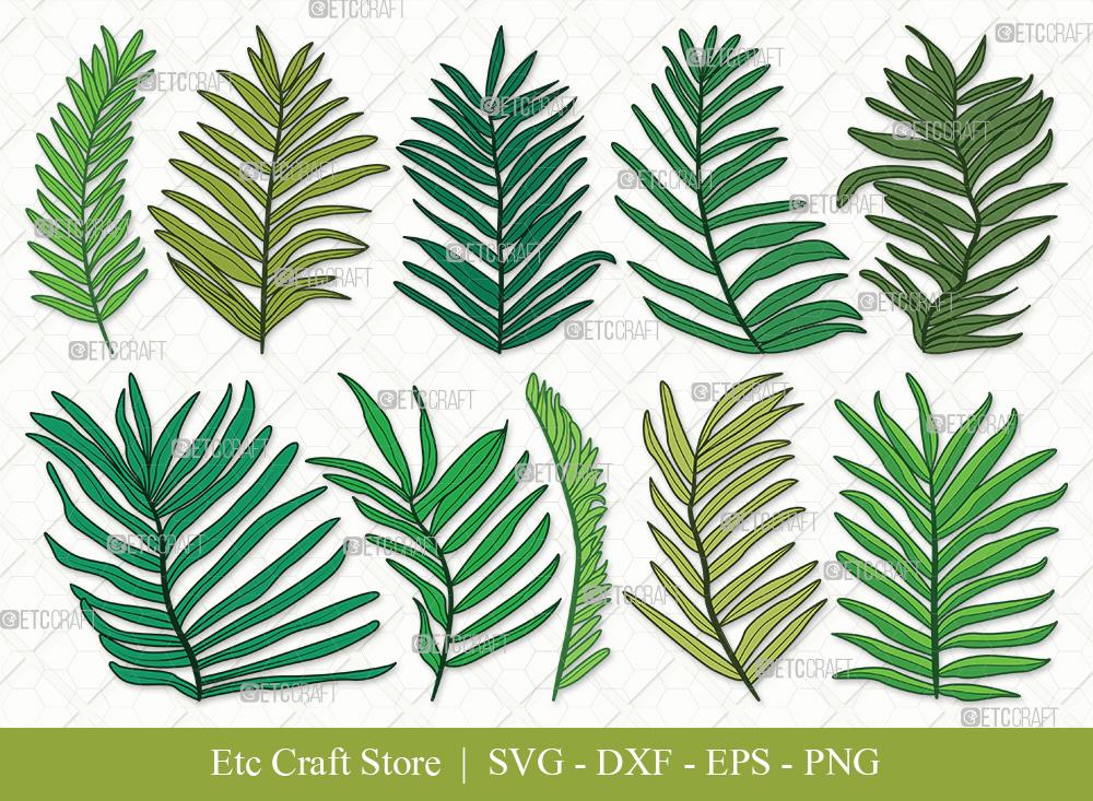 Palm Leaves Clipart SVG Cut File | Palm Leaf Svg | Monstera Leaf Svg ...