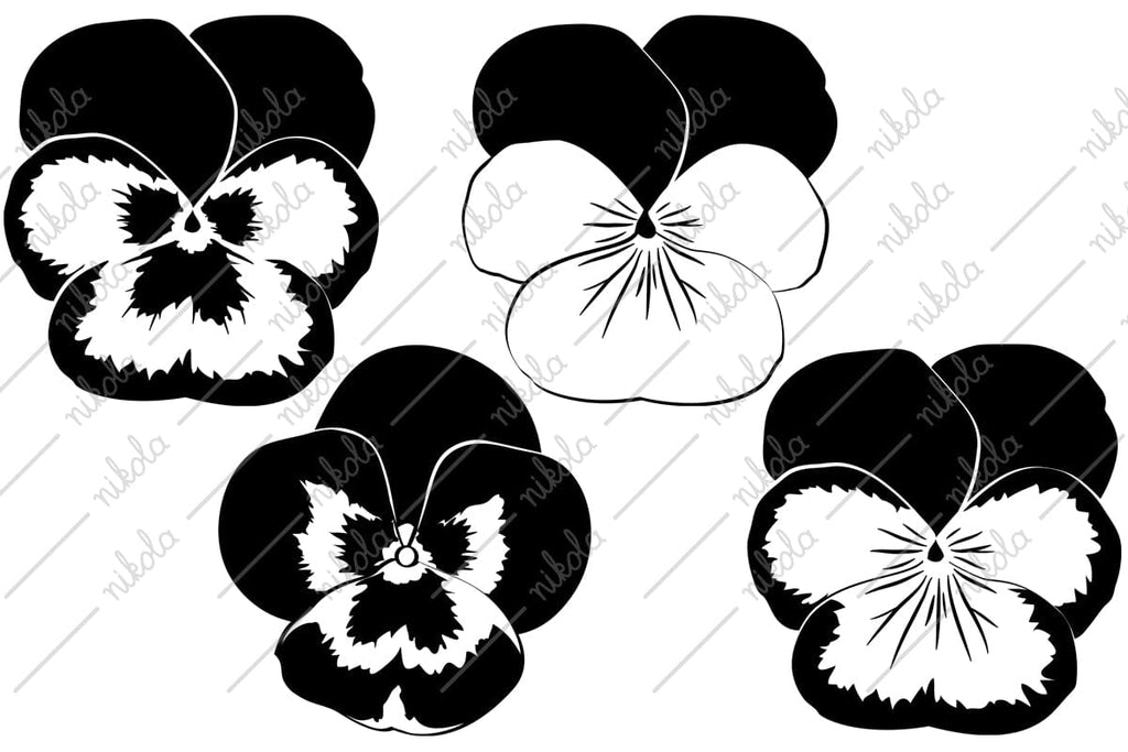 Pansy Clipart Cut File PNG SVG EPS DXF PDF - So Fontsy