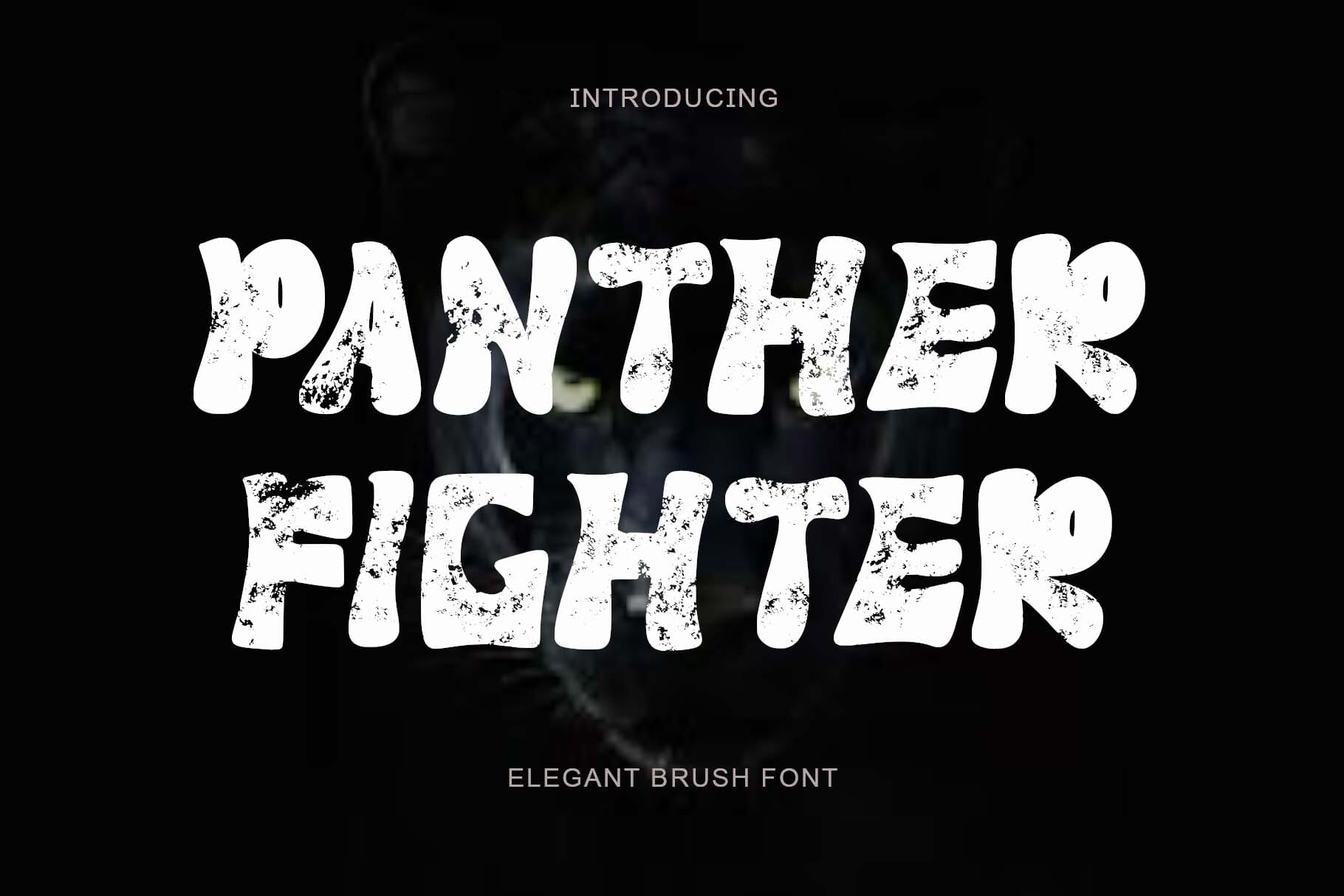Panther Fighter - So Fontsy