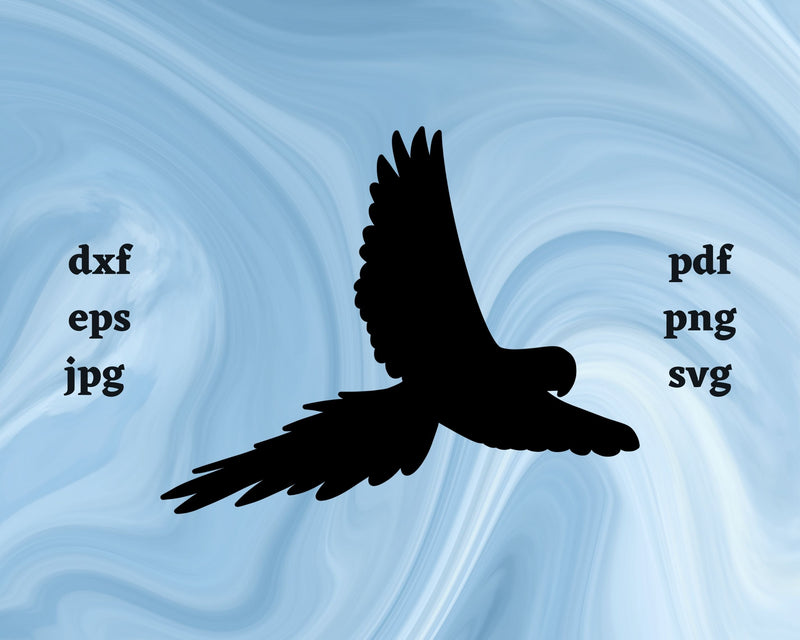 Parrot SVG Cut File - So Fontsy