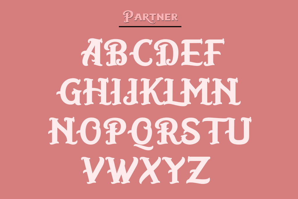 Partner | Serif - So Fontsy