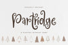 Partridge - Playful Font - So Fontsy