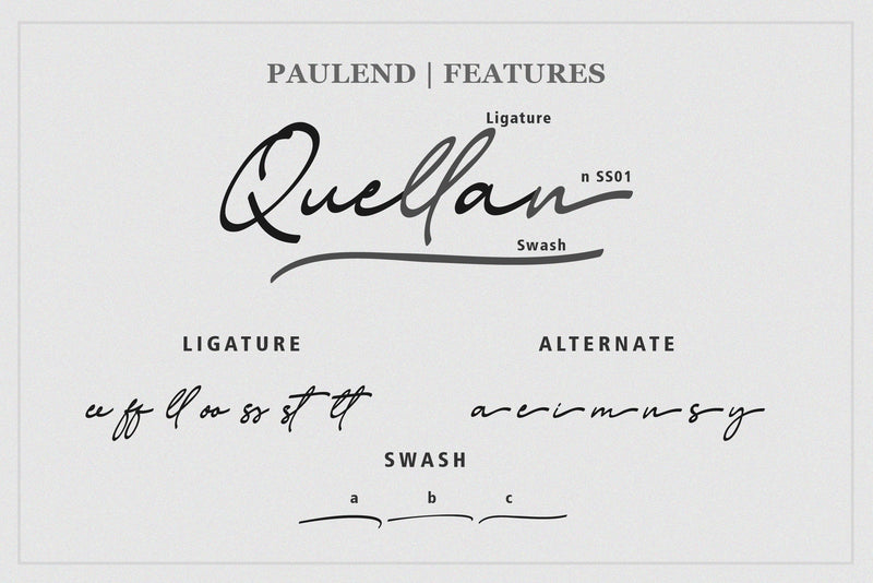 Paulend A Handwritten Script Font | So Fontsy