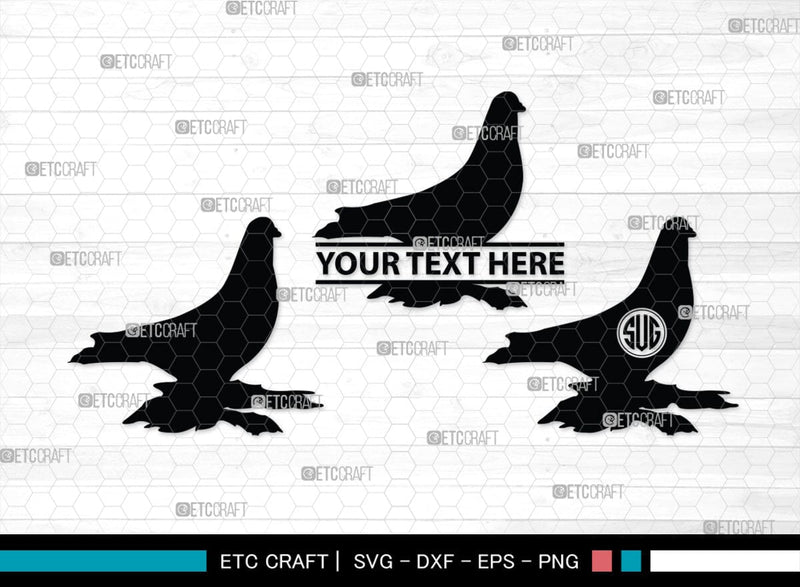 Pigeon Monogram, Pigeon Silhouette, Pigeon SVG, Pigeon, Pet Bird Svg ...