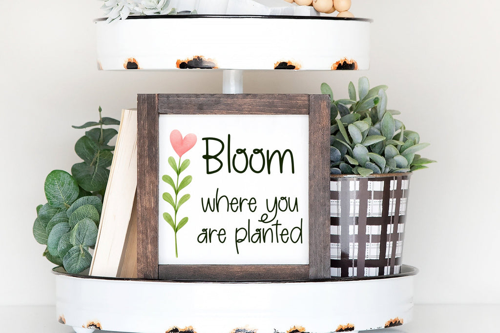 Piggy Tails, A Cute Curly Handwritten Font - So Fontsy