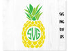 Pineapple Bundle Monogram - So Fontsy