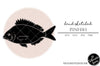 Pinfish Hand sketched, hand drawn vector clipart - So Fontsy