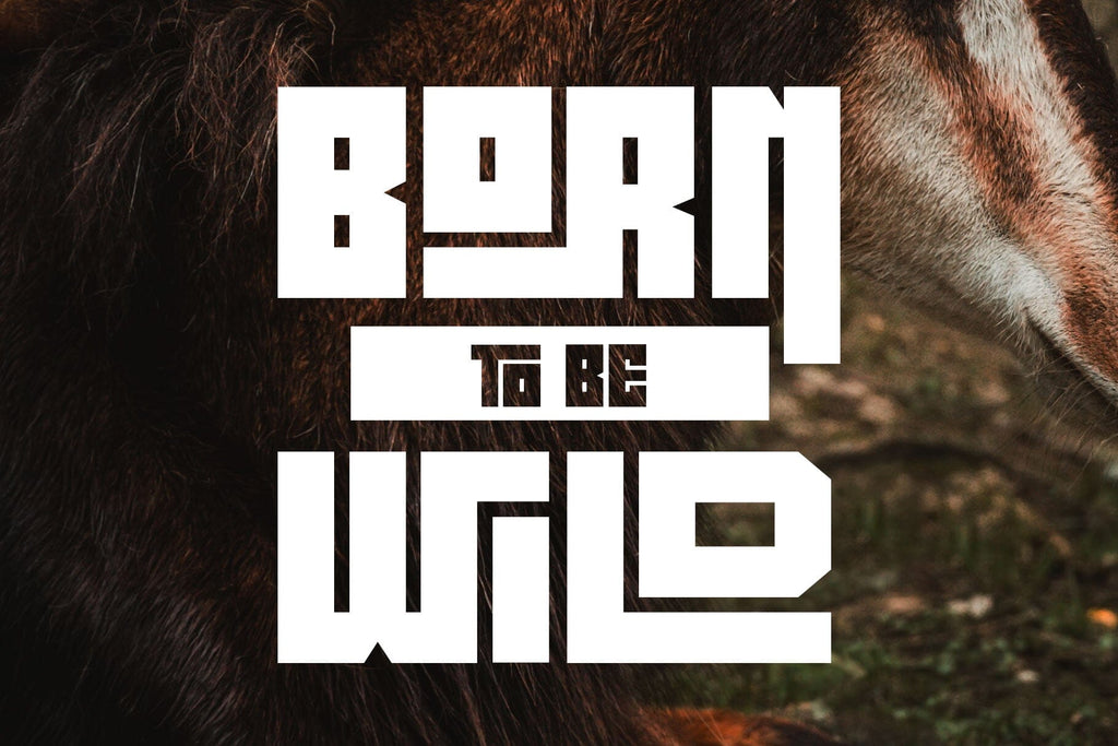 Pocky Block - So Fontsy