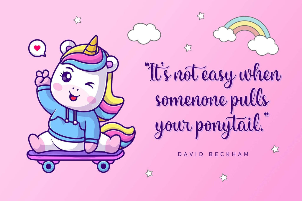 Ponytails - So Fontsy